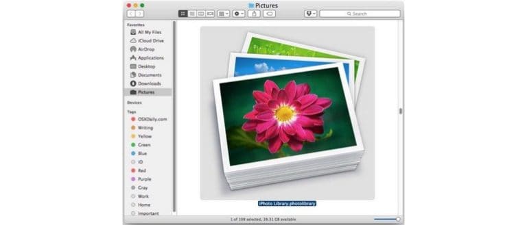 Stupid Terminal Tricks: The Dancing ASCII Party Parrot - ItBookMac